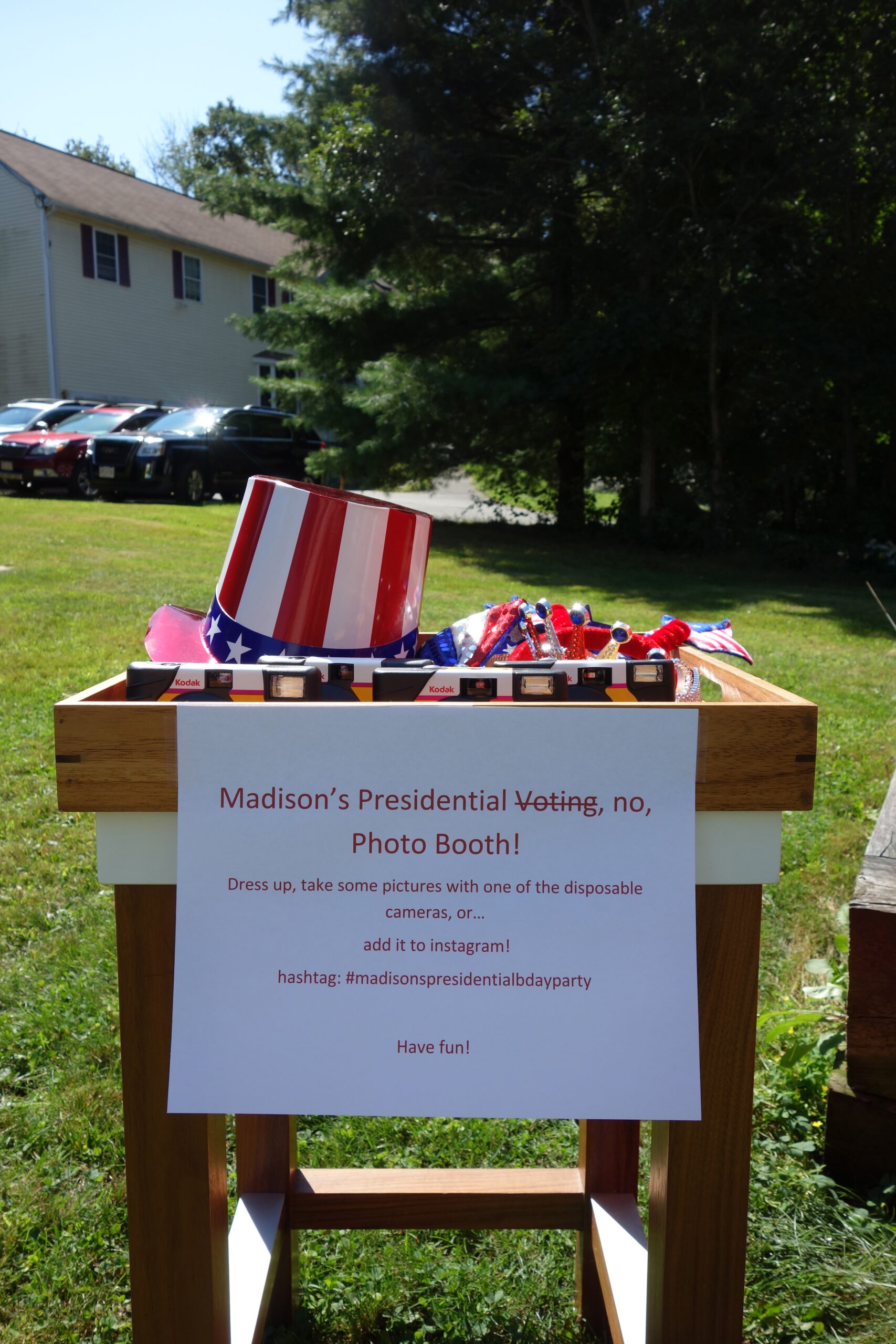 Madison's Presidential First Birthday Party - Project Nursery