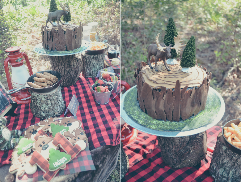 LumberJack Logging Camp 1st Birthday Party - Project Nursery