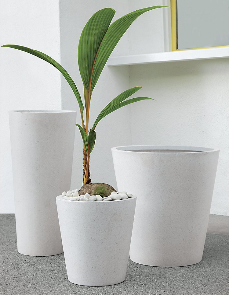 Plants in the Nursery - Project Nursery