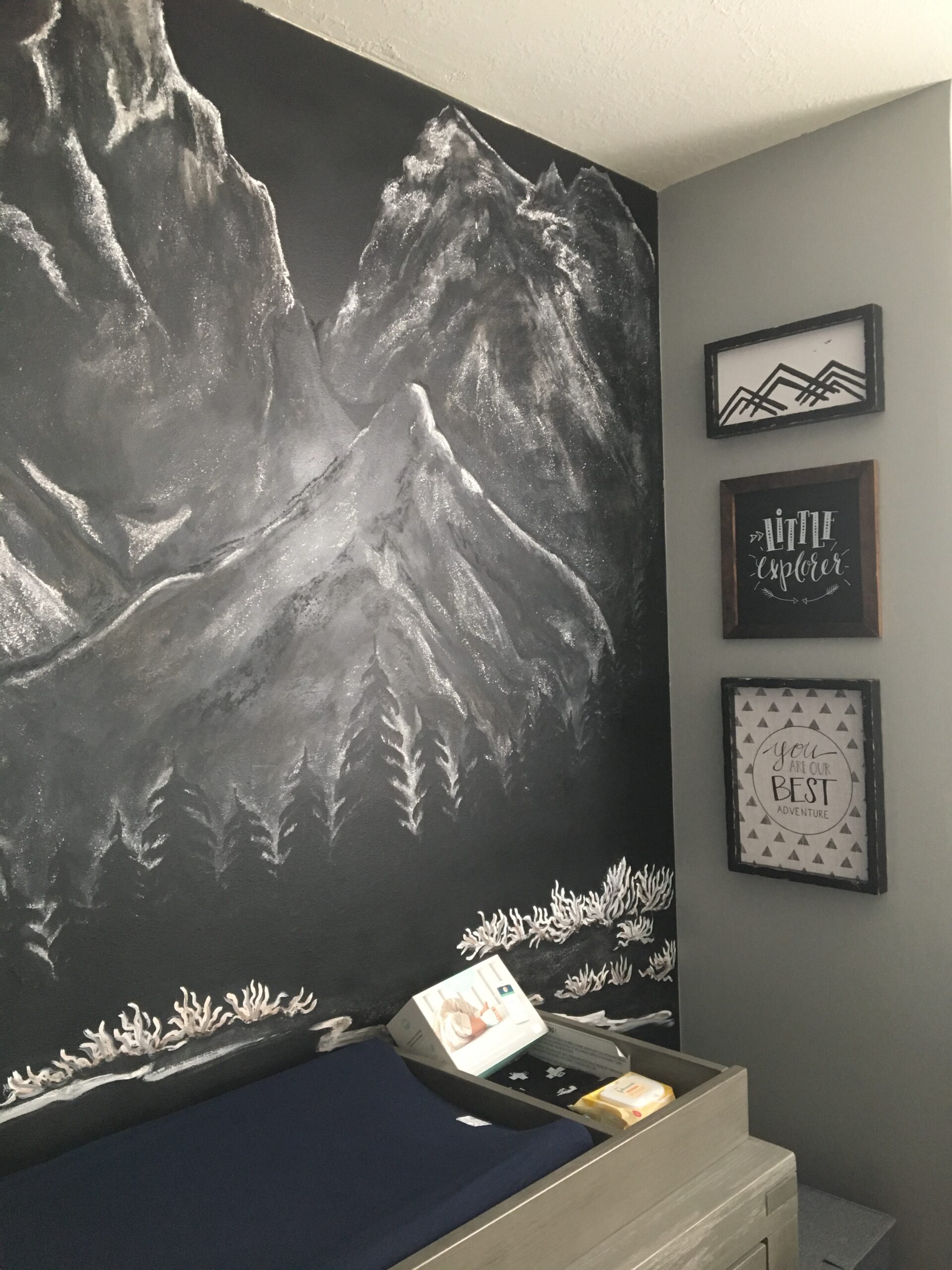 Beaux's Mountain Nursery - Project Nursery